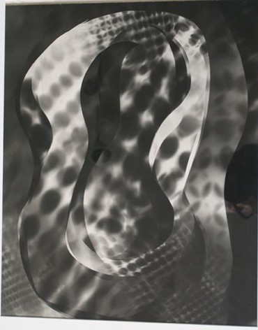 Arthur Siegel Photogram - Primavera Gallery